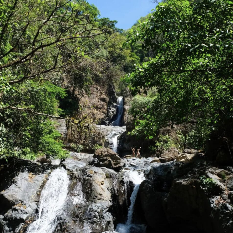 Cerro Hoya Mountain Expedition - Libelulas Pedasi