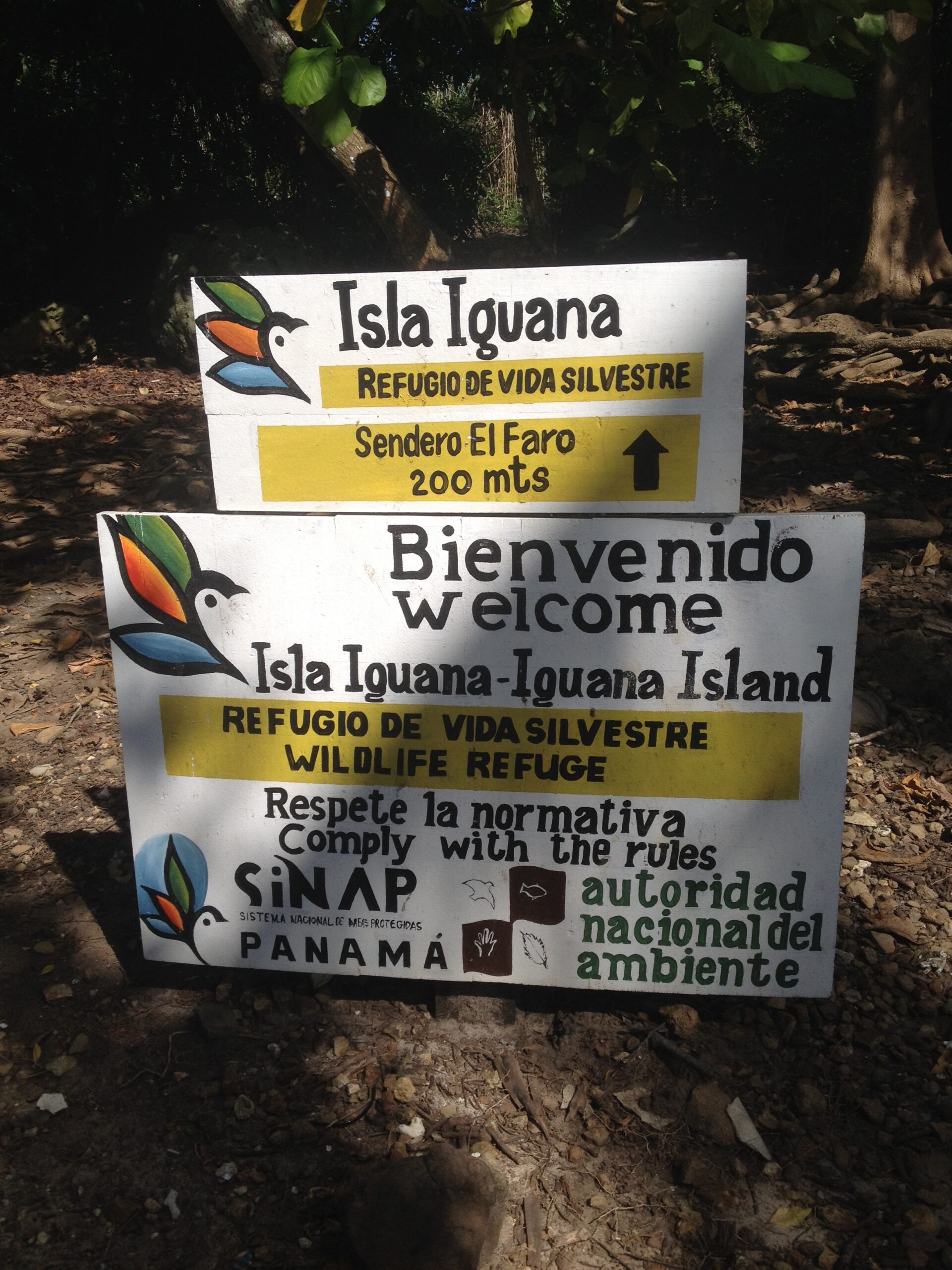 Iguana Island, the Pedasi Wildlife Refuge - Libelulas Pedasi