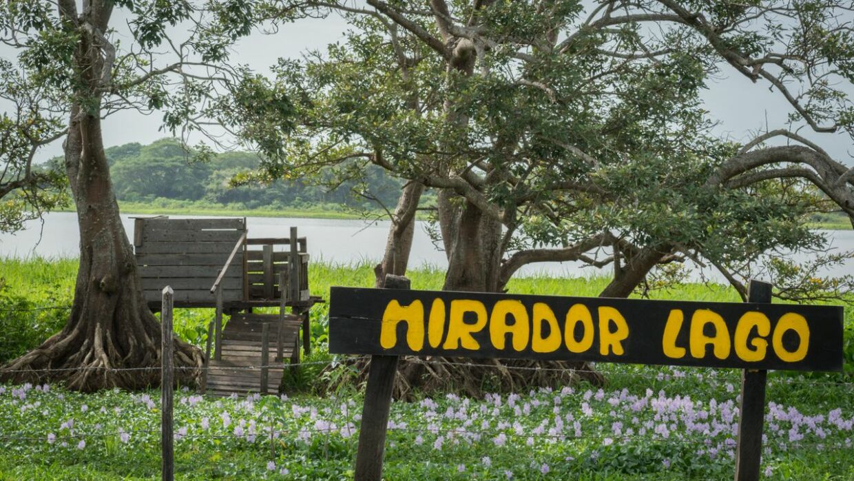 11 Áreas Protegidas de Panamá que se Encuentran en Azuero (Herrera y Los Santos) - Libelulas Pedasi